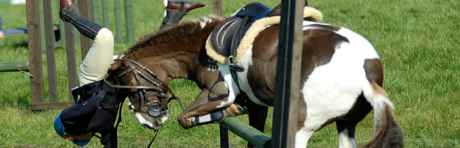 NZ woman injured after fall from horse | OHS Daily News