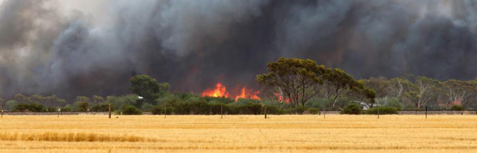 Two CFS firefighters suffer serious burns | OHS Daily News