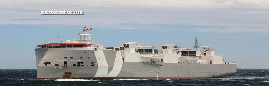 Man missing overboard from live export ship | OHS Daily News